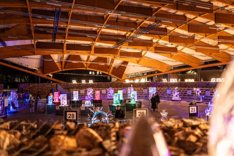 Ledus skulptūras – Jelgavas kultūras nams